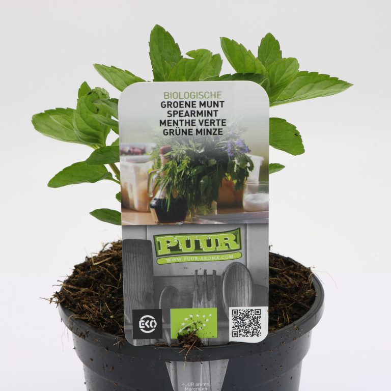 Biologische Groene Munt ~ StreekproductenwinkelStreekproductenwinkel